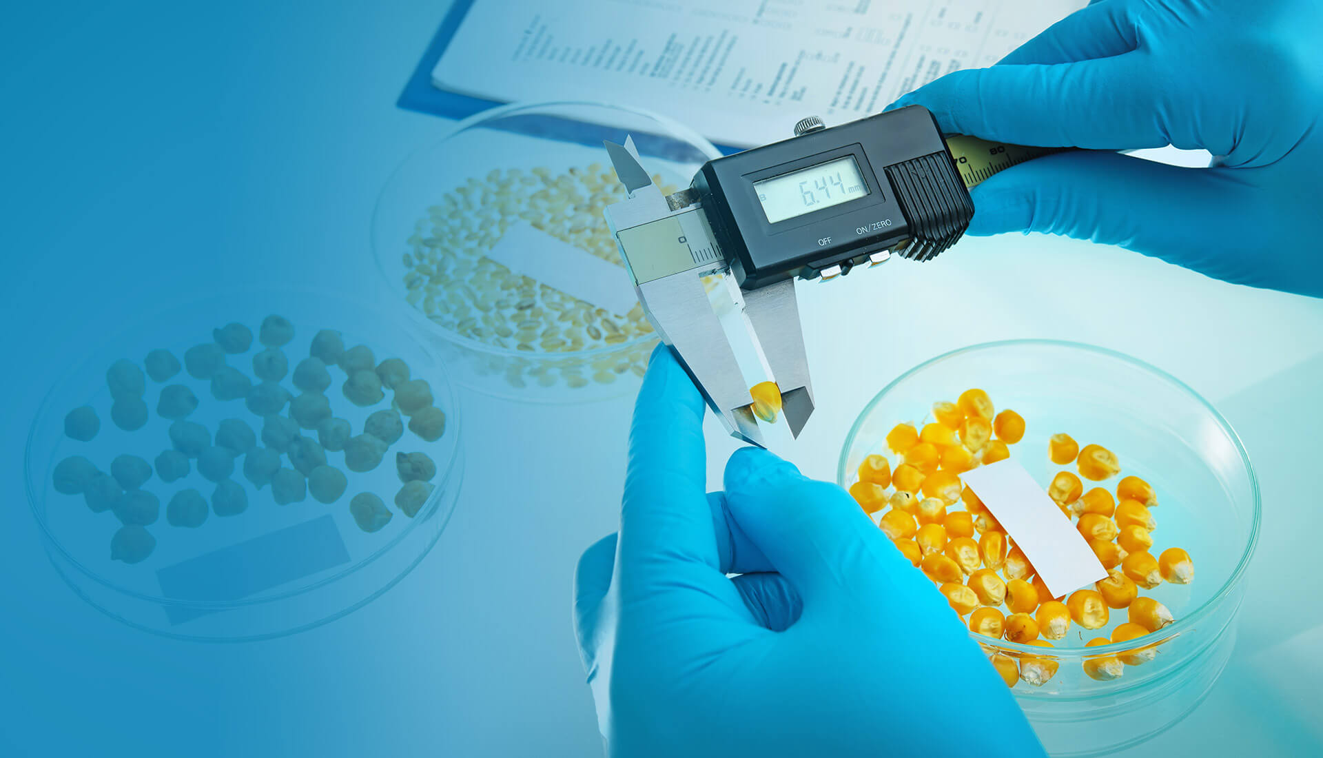 Services - Bless Agri Food Laboratory Service PLC